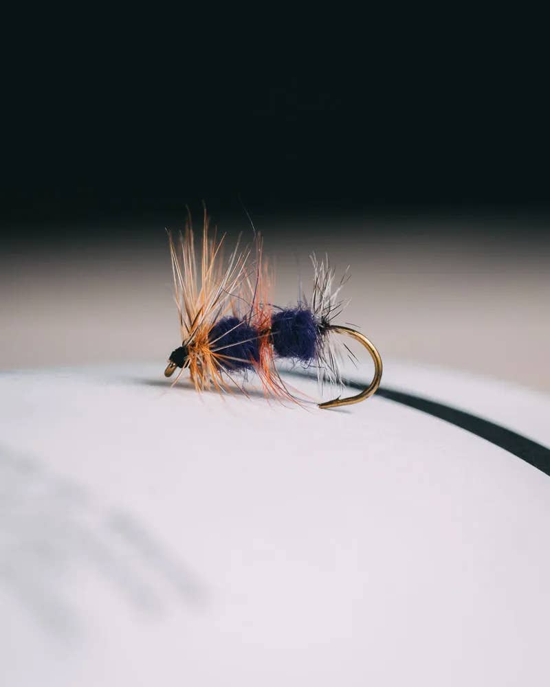 Triple Double Amber (12 Pack) | North 40 Outfitters