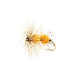 Triple Double Amber (12 Pack) | North 40 Outfitters