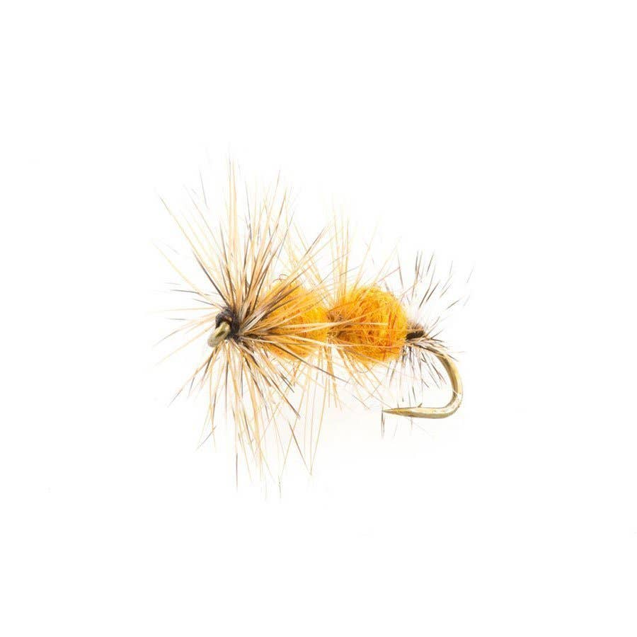 Triple Double Amber (12 Pack) | North 40 Outfitters