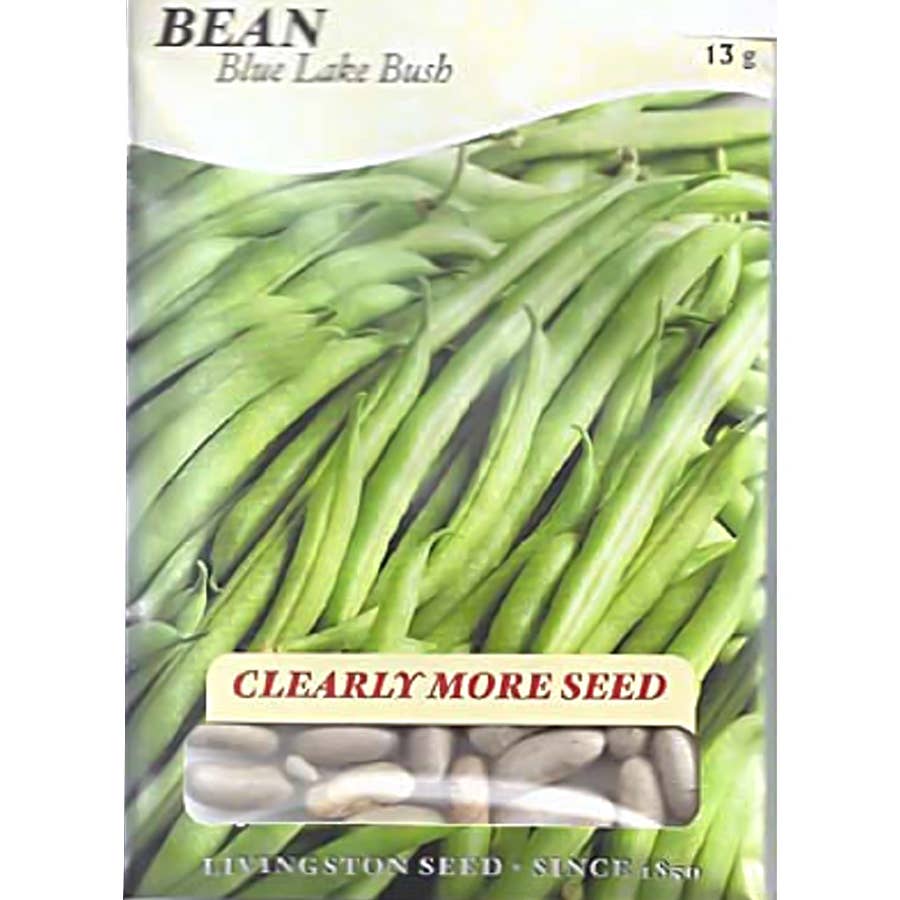 Livingston Seed Blue Lake Bush Bean Seed