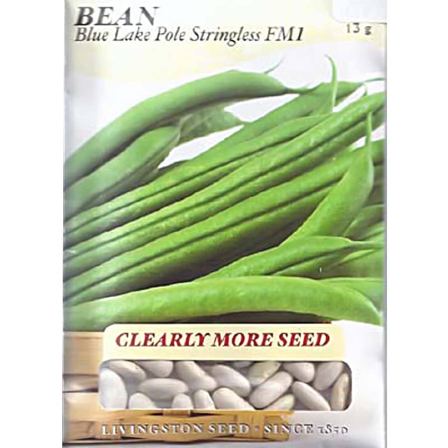 Livingston Seed Blue Lake Pole Stringless Bean Seed