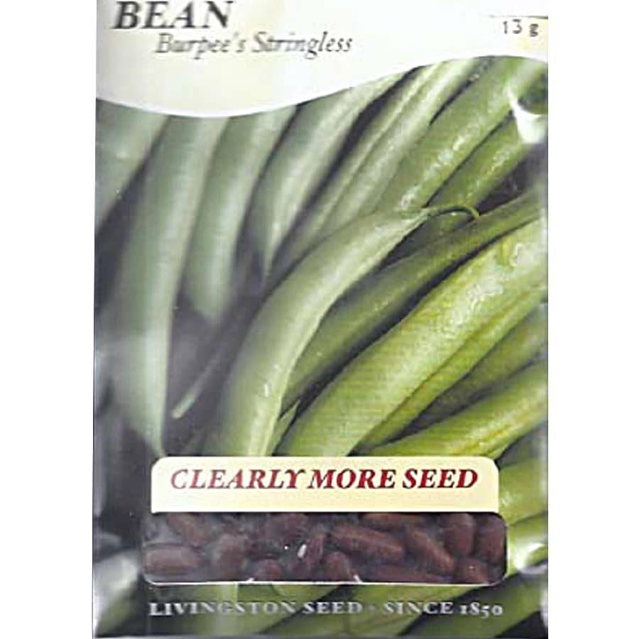 Livingston Seed Burpee Stringless Bean Seed