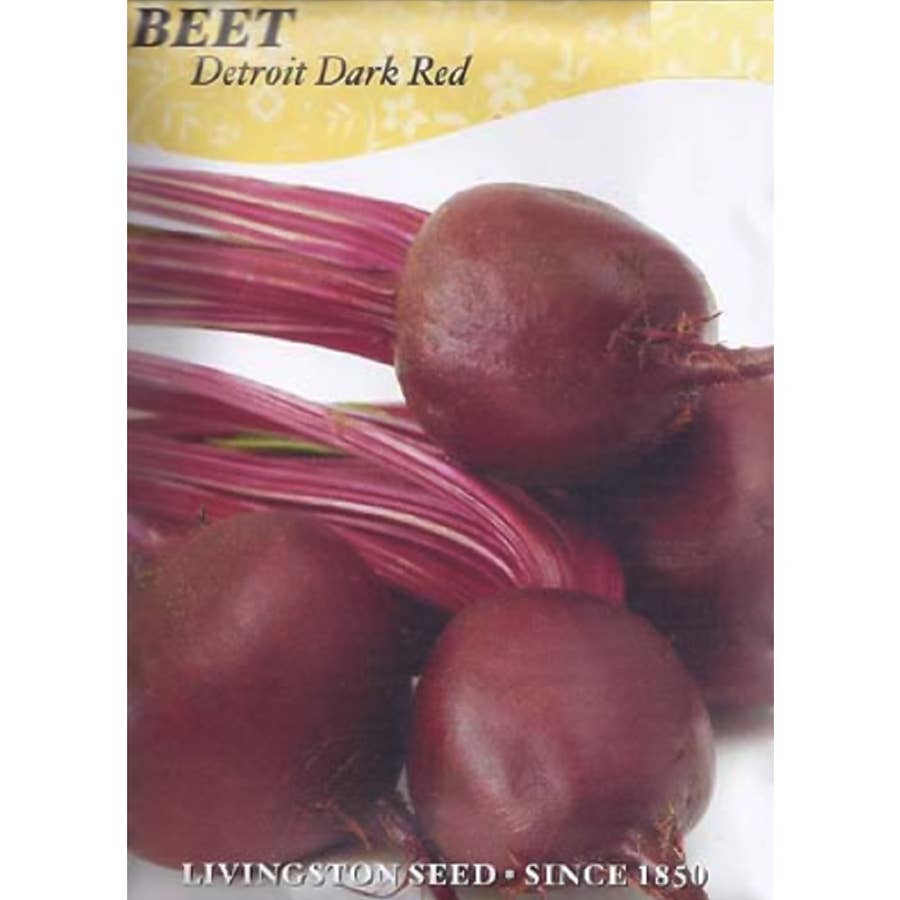 Livingston Seed Detroit Dark Red Beet Seed