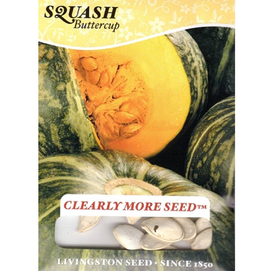 Livingston Seed Buttercup Squash Seed