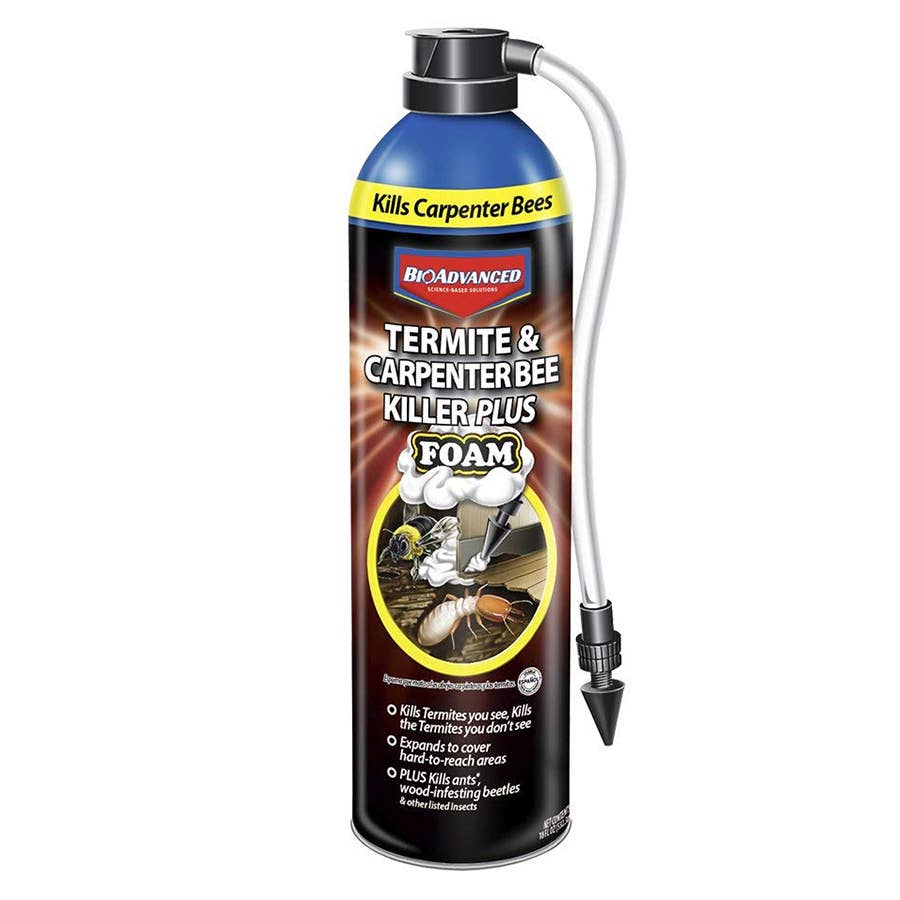 Bayer Advanced Termite and Carpenter Bee Killer Plus Foam