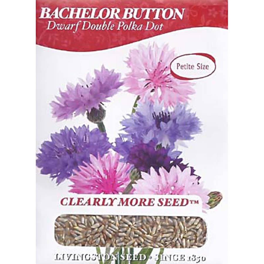 Livingston Seed Dwarf Double Polka Dot Bachelor Button Seed