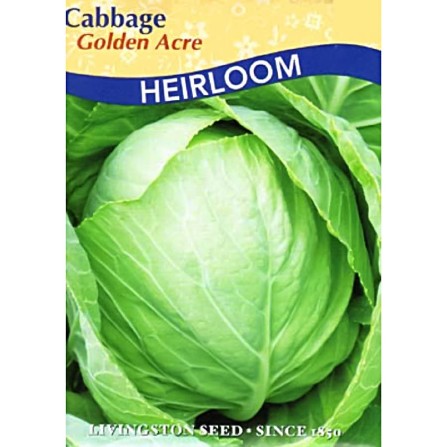 Heirloom Golden Acre Cabbage Seed