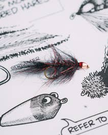 Ruby Red Eyed Leech Fly