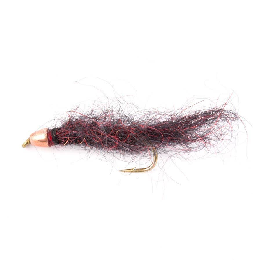 Ruby Red Eyed Leech Fly