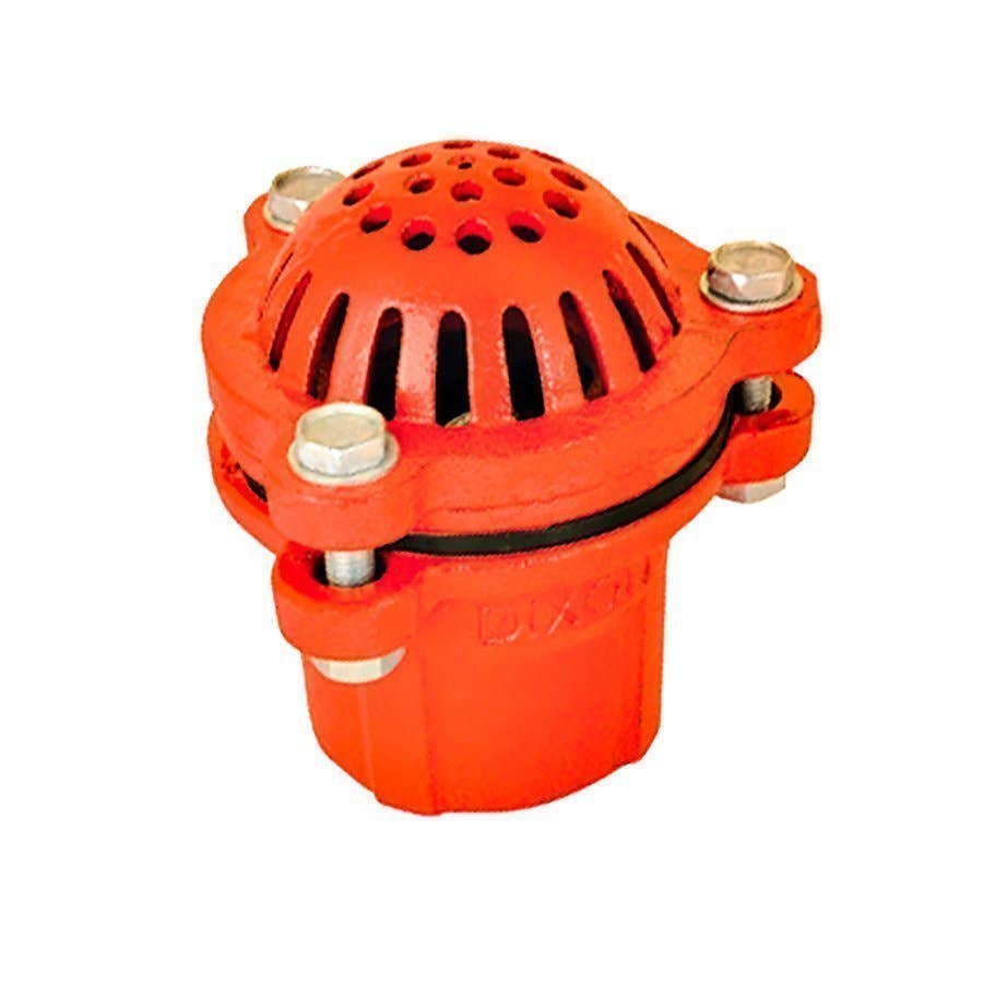 Apache Cast Iron Foot Valve with Leather Flappers