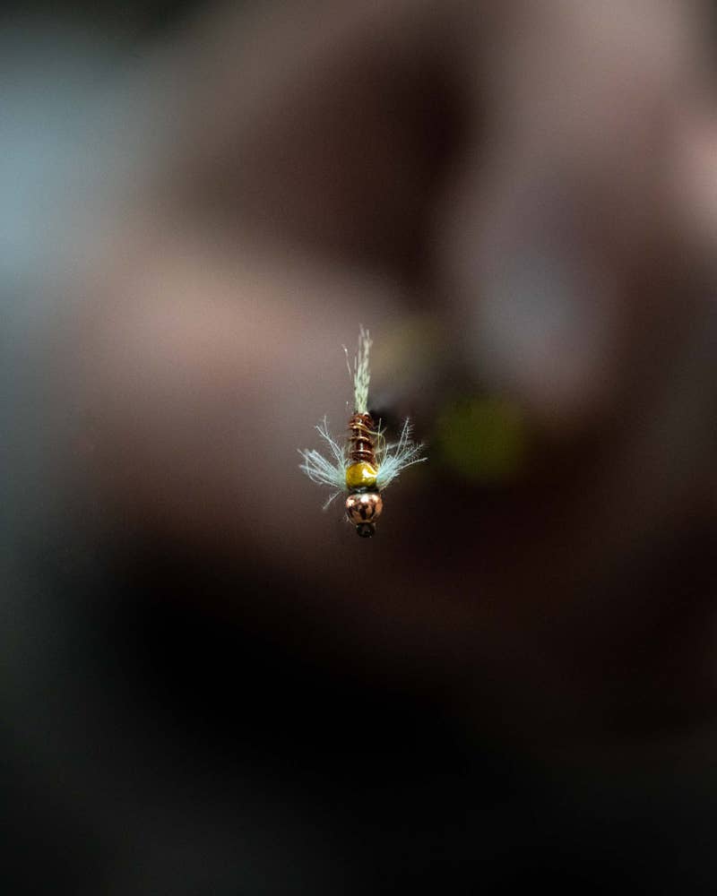 Shop Fly Fishing Fly Patterns - The Fly Project