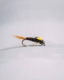 Tungsten Beadhead Split Case PMD Fly