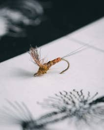 CDC Biot Comparadun BWO Fly