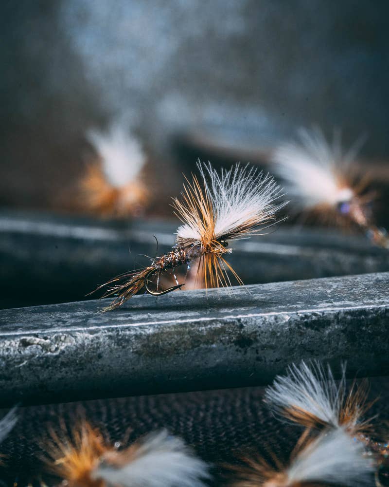 Rene Harrop's D&D Cripple - March Brown