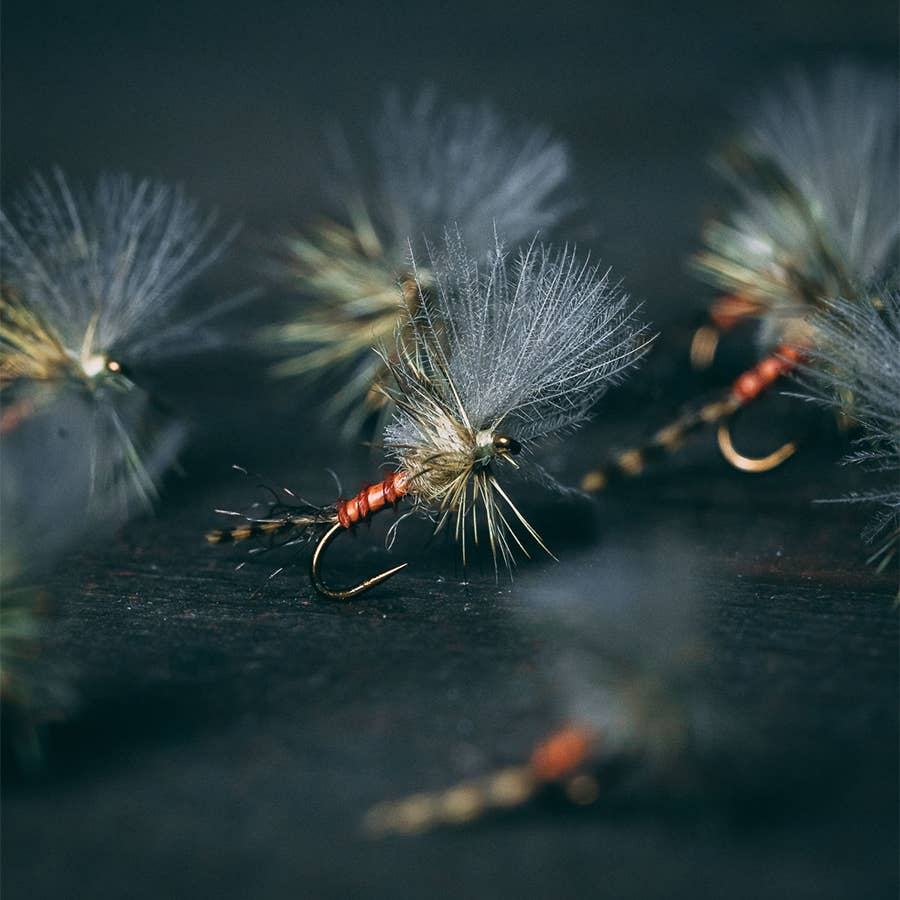 Last Chance PMD Cripple Fly