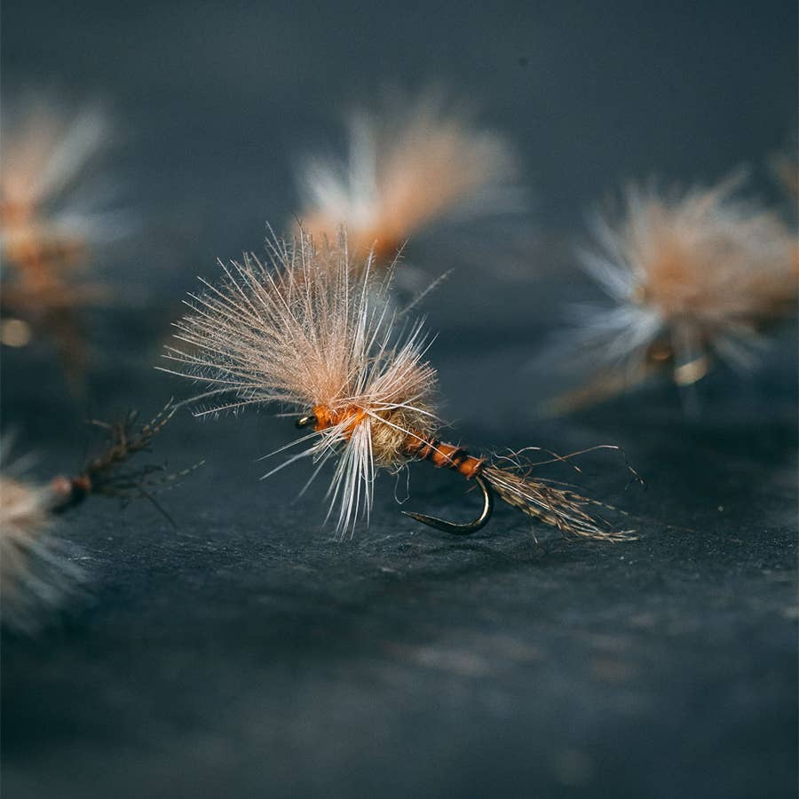 Last Chance Sulphur Cripple Fly