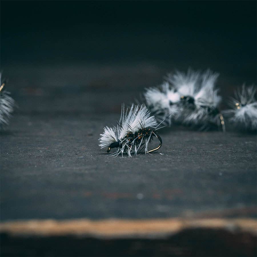 Rene Harrop's CDC Cluster Midge