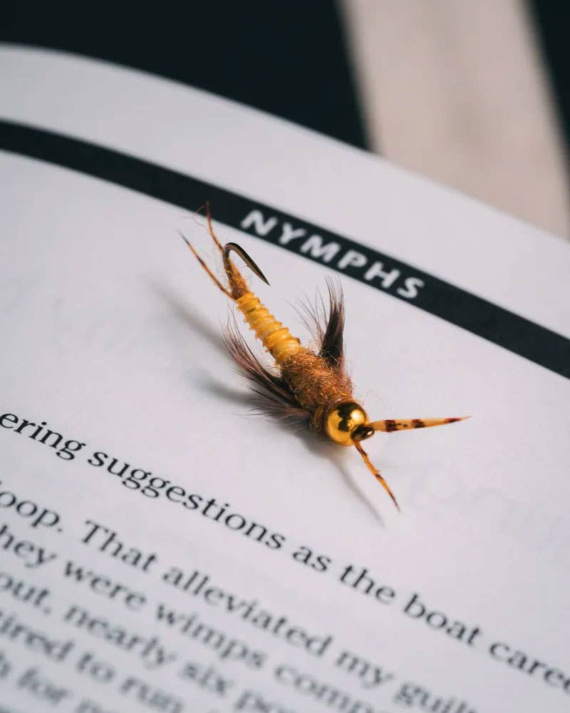 Umpqua Biot Epoxy Stone Nymph - Gold Bead/Gold