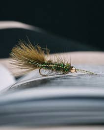 Gold Bead Rubber Leg Wooly Bugger Fly