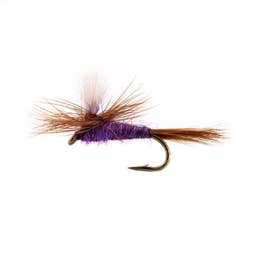Purple Haze Parachute Adams Fly