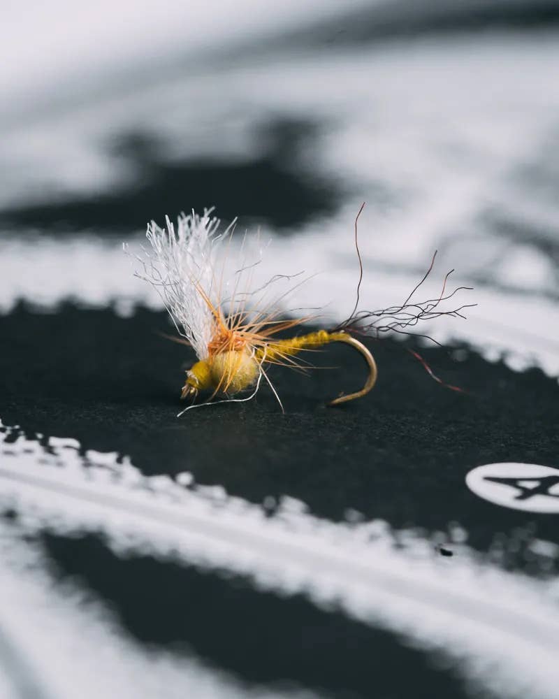 Quigley's Sparkle Flag BWO Fly