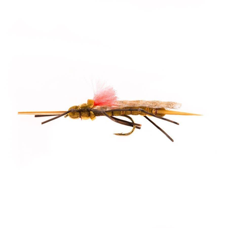 Morrish Still Salmonfly/Stone Fly