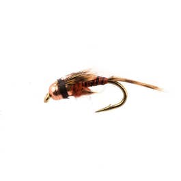Craven's Two Bit Hooker Fly