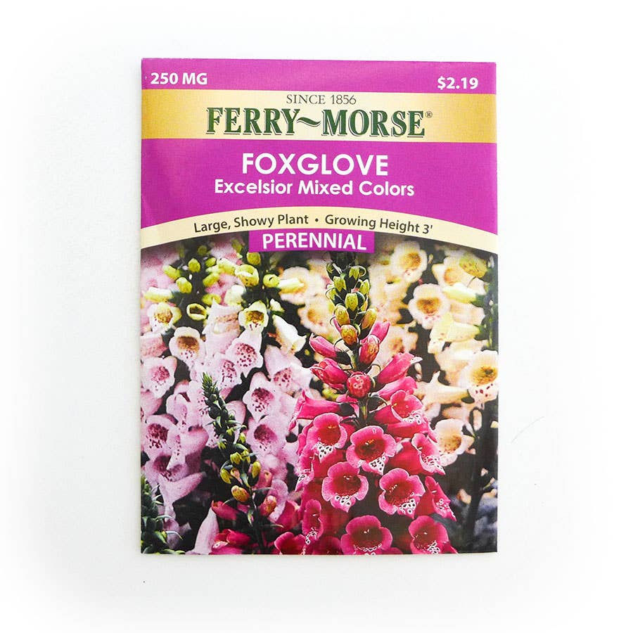 Ferry-Morse Foxglove Excelsior Hybrid Mixed Colors Seed