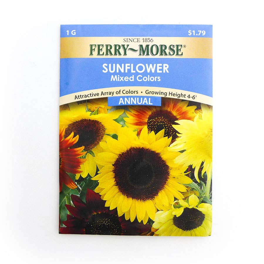 sunflower border mix