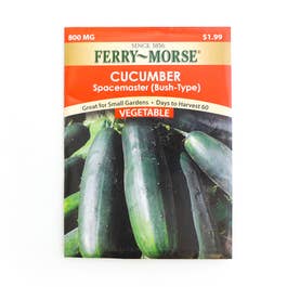 Ferry-Morse Cucumber Spacemaster Bush Type Seed