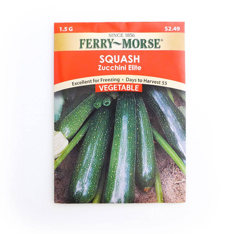 Ferry-Morse Squash Zucchini Elite Hybrid Seed
