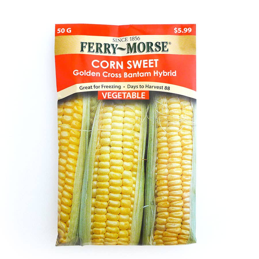 Cross Bantam Sweet Corn Corn, Golden Bantam Seed Packets Heirloom