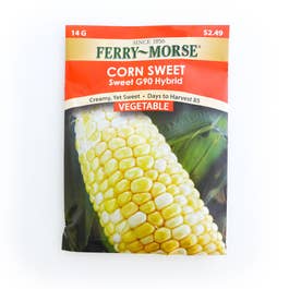 Ferry-Morse Sweet Corn Sweet G90 Hybrid Seed