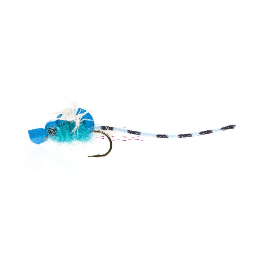 Montana Fly Co Adult Damsel - Blue