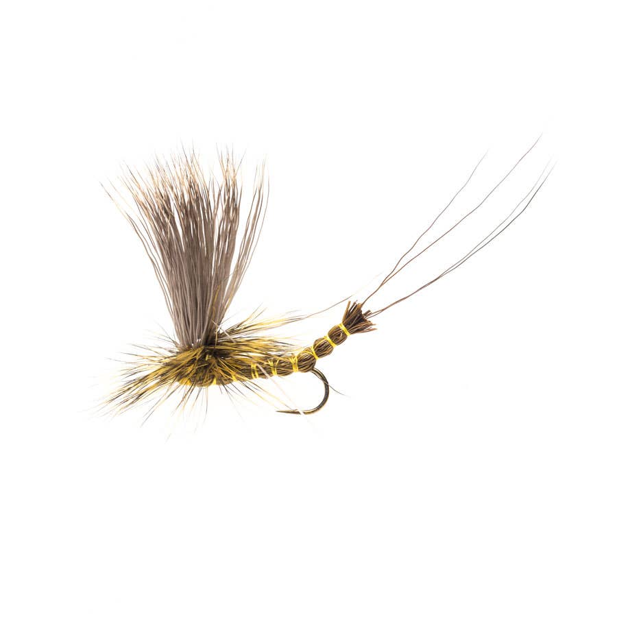 Umpqua Hex Paradrake Bob Quigley