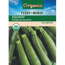 Ferry-Morse Organic Squash Fordhook Zucchini Seeds