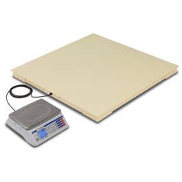 Cardinal Scale Portable Counting Scale