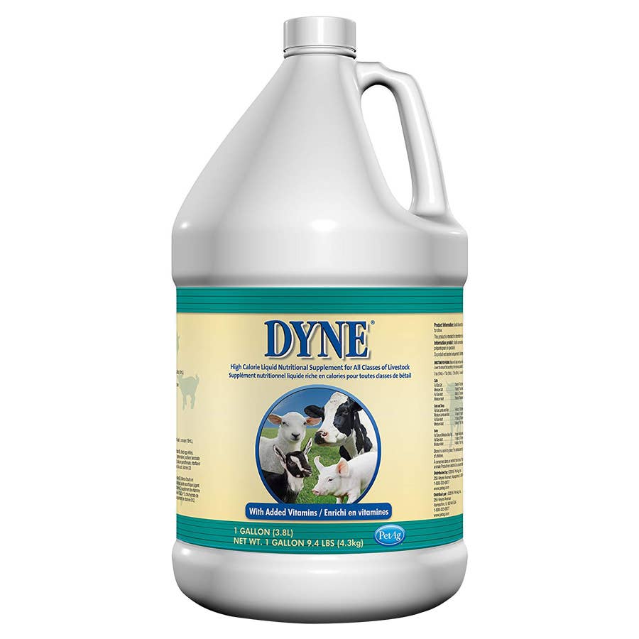 PetAg Dyne High Calorie Liquid Supplement for Livestock - 1 gal