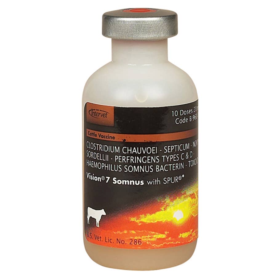 Merck Vision 7 Somnus with Spur