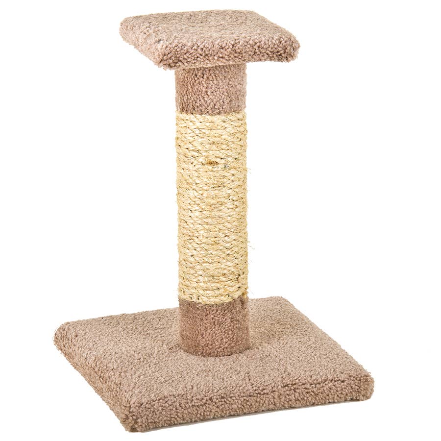 Ware Kitty Cactus with Natural Rope - 18""