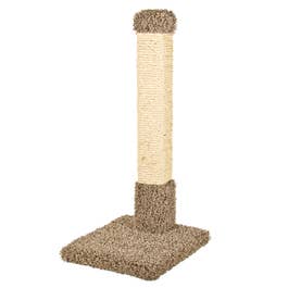 Ware Kitty Cactus with Sisal - 32""