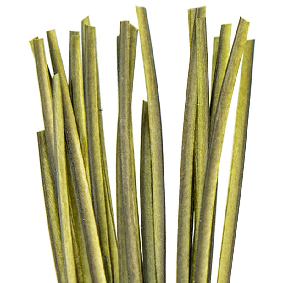 Polish Quills Hand Stripped Peacock Quill