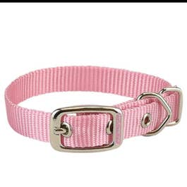 Hamilton Single Thick Deluxe Nylon Dog Collar - 5/8""