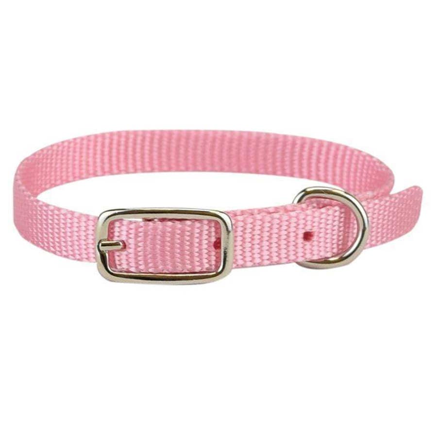 Hamilton Single Thick with Tongue Buckle Nylon Dog Collar - 3/8"" x 12""