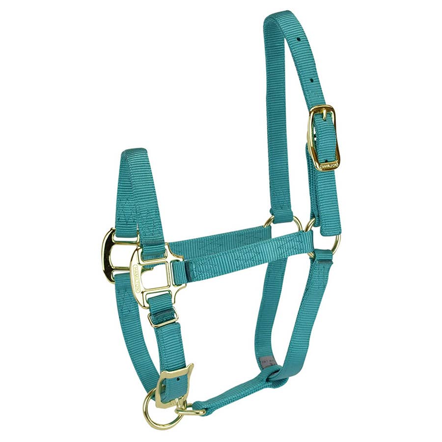 Hamilton Adjustable Nylon Quality Halter - Turquoise