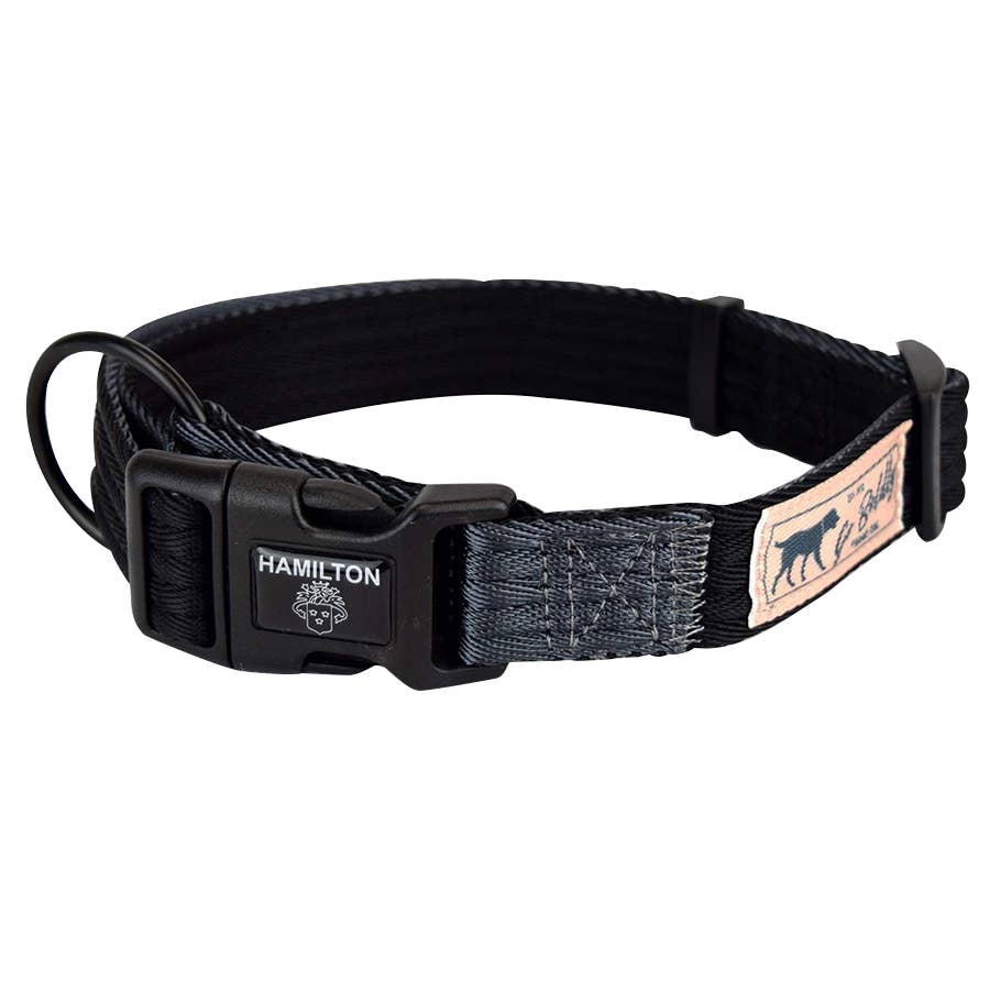 Hamilton Go Boldly Series Adjustable Dog Collar