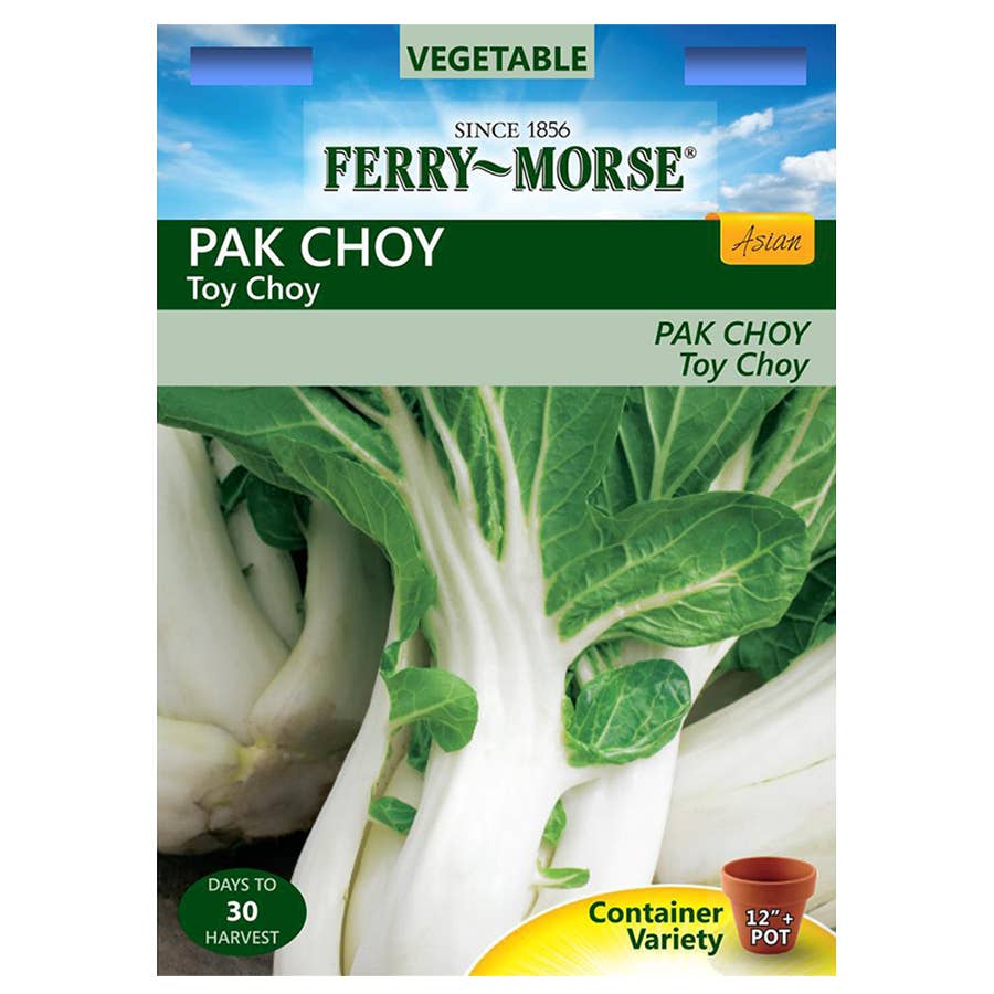 Ferry-Morse Pak Choi Toy Choy Seed
