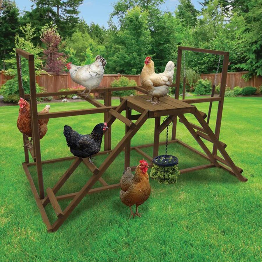 Coops & Feathers Chicken Play Center with Treat Basket
