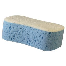 SM Arnold Bug & Tar Sponge