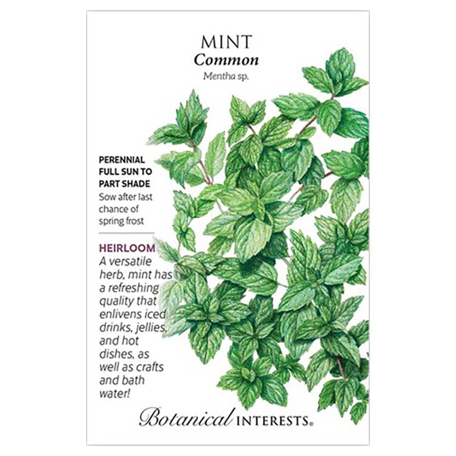 Botanical Interests Common Mint Seeds